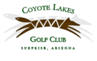 Coyote Lakes Golf Course Review Surprise AZ | Meridian CondoResorts